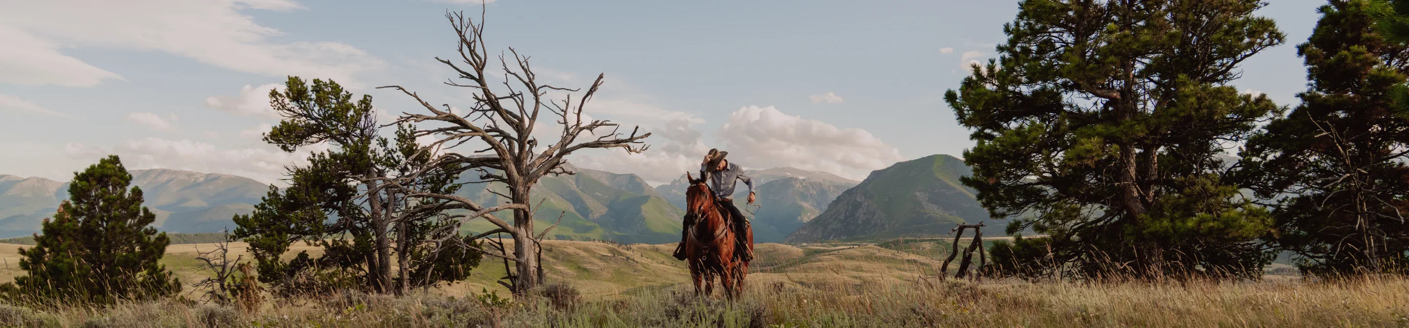 Merch – Forward Farms USA